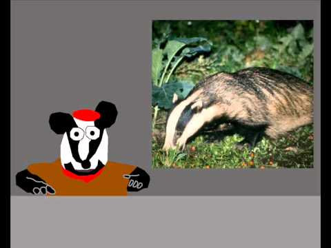 Bodger and Badger: Badger's Mashy Collection - Special Feature - Badger ...