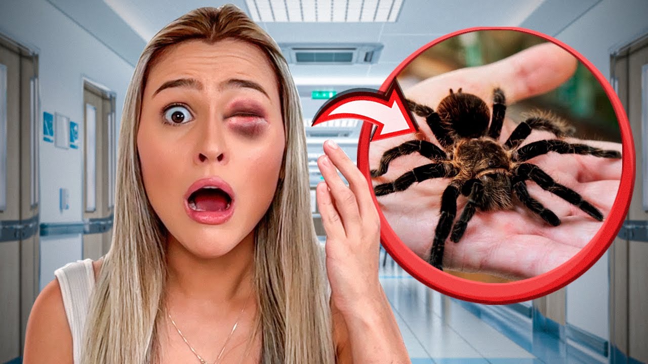 UMA ARANHA VENENOSA ME PICOU!! *TIVE QUE LIGAR PARA A EMERGÊNCIA* - YouTube