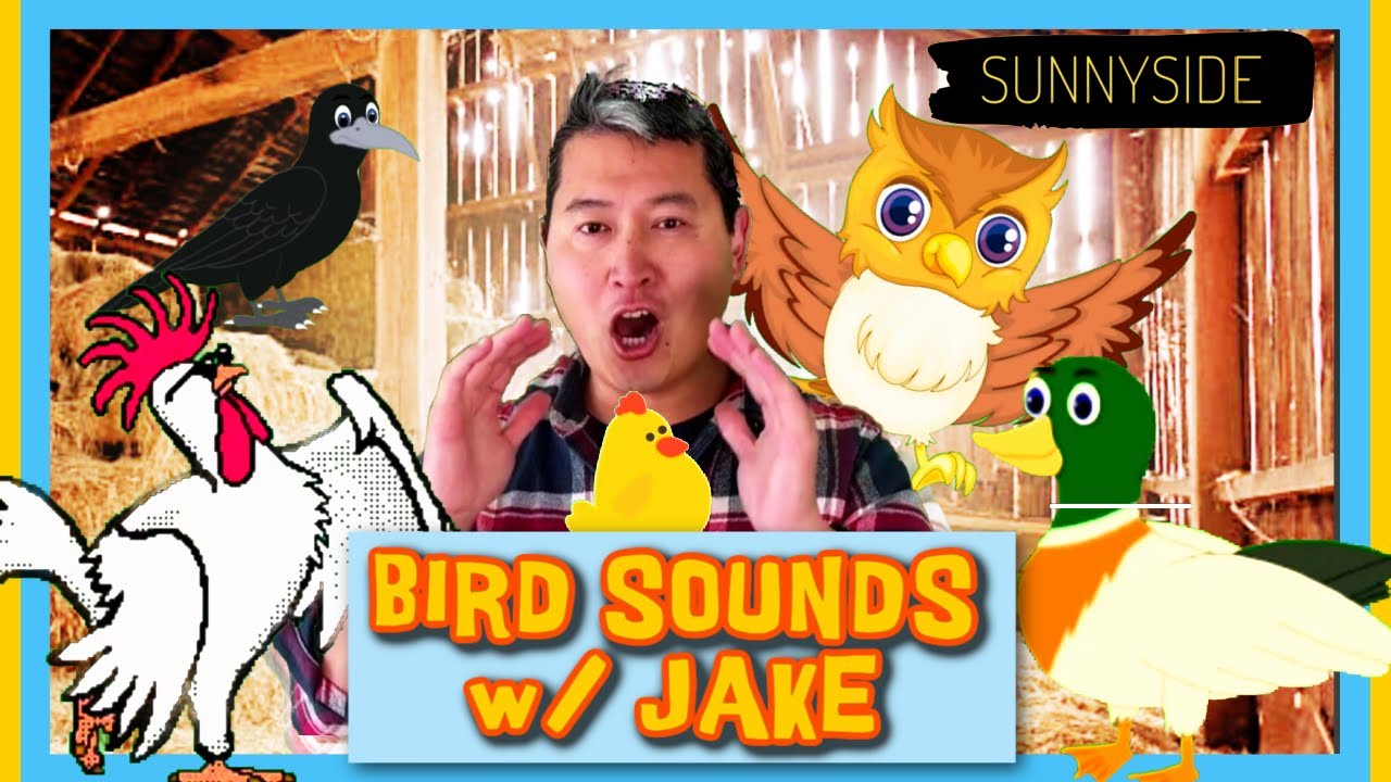Learn Bird Sounds from Birds on the Farm w/ Sunnyside Jake🐥🐓 - YouTube