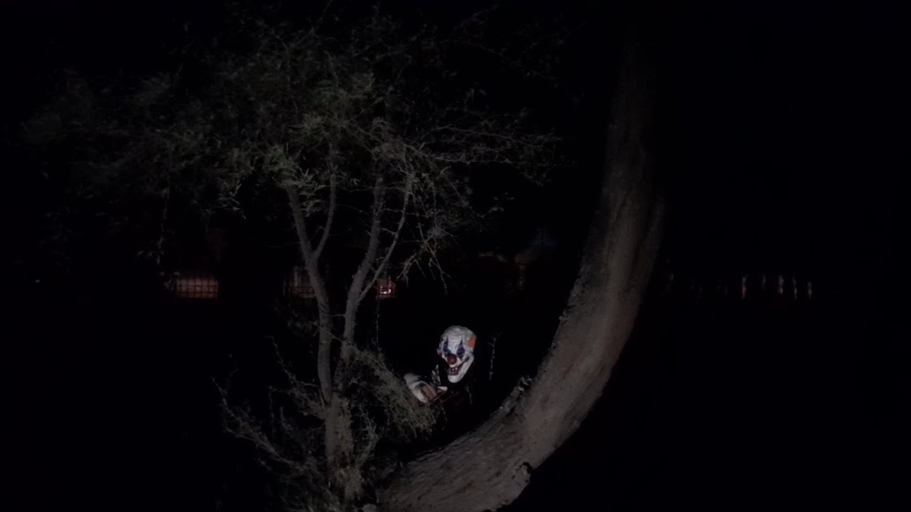 TREE DANGEROUS GHOST HOUSE - Horror movie 🎬 - YouTube
