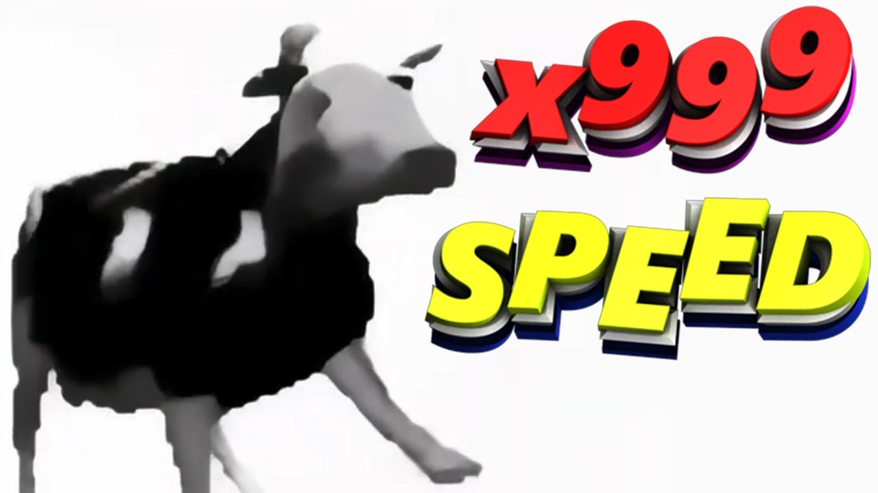 POLISH COW, BUT CONSTANTLY INCREASING SPEED - YouTube