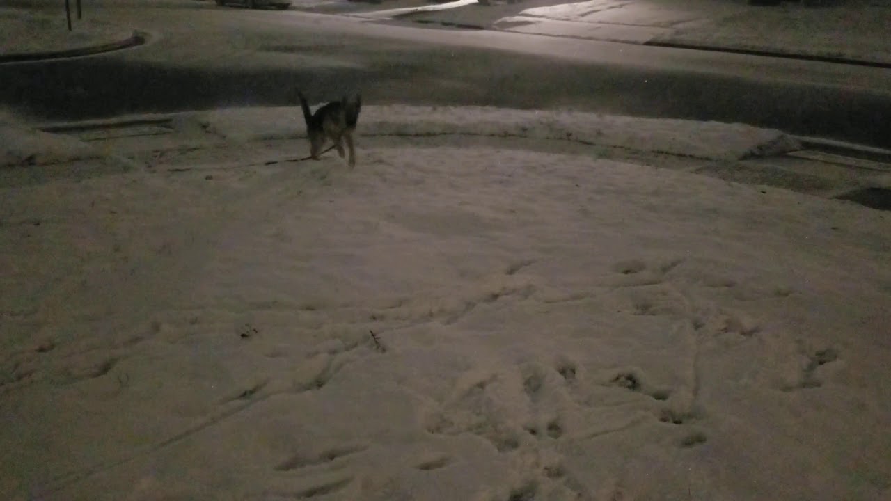 ermahgerd sner! - YouTube