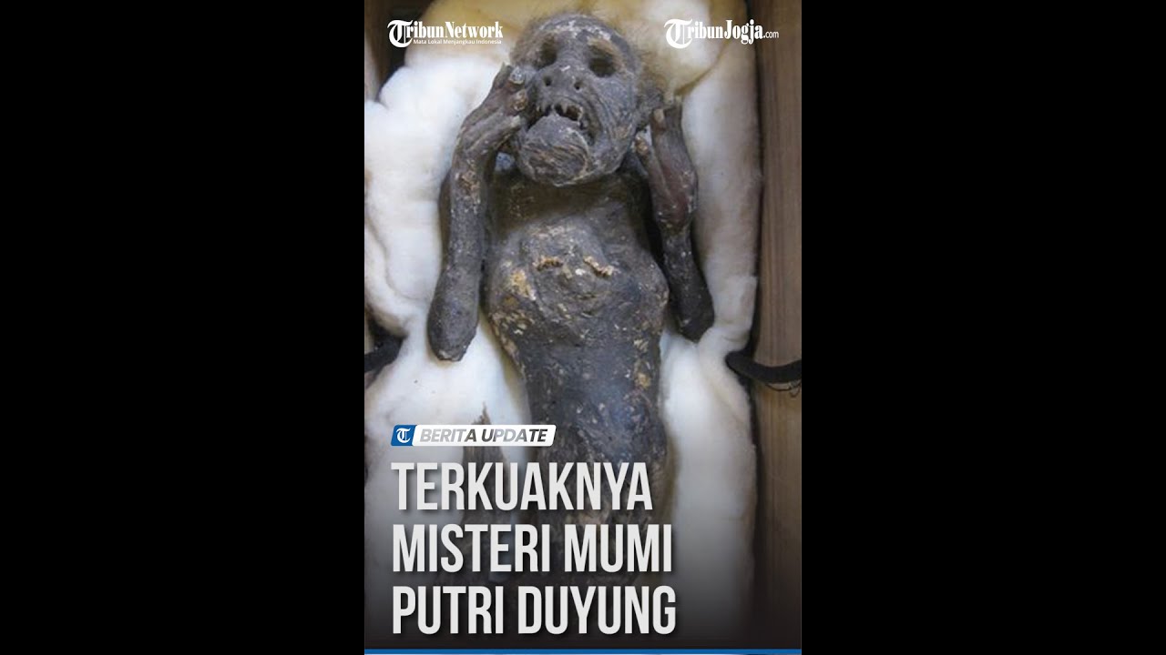 PENELITI BERHASIL MEMECAHKAN MISTERI MUMI PUTRI DUYUNG YANG SEJAK LAMA ...