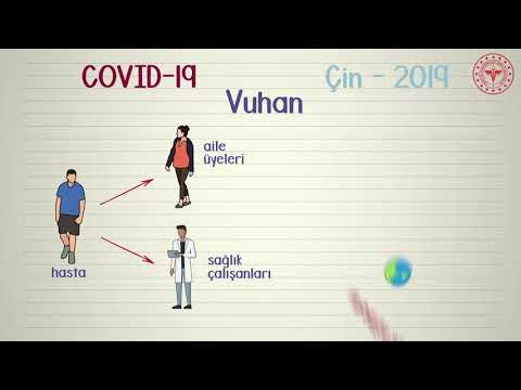 Yeni Koronavirüs Hastalığı nerede ortaya çıktı ve nasıl yayıldı?