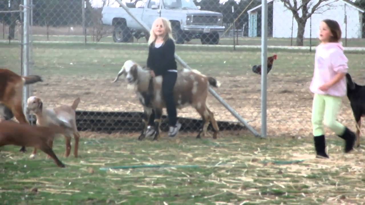 Farm Girl Fun - YouTube