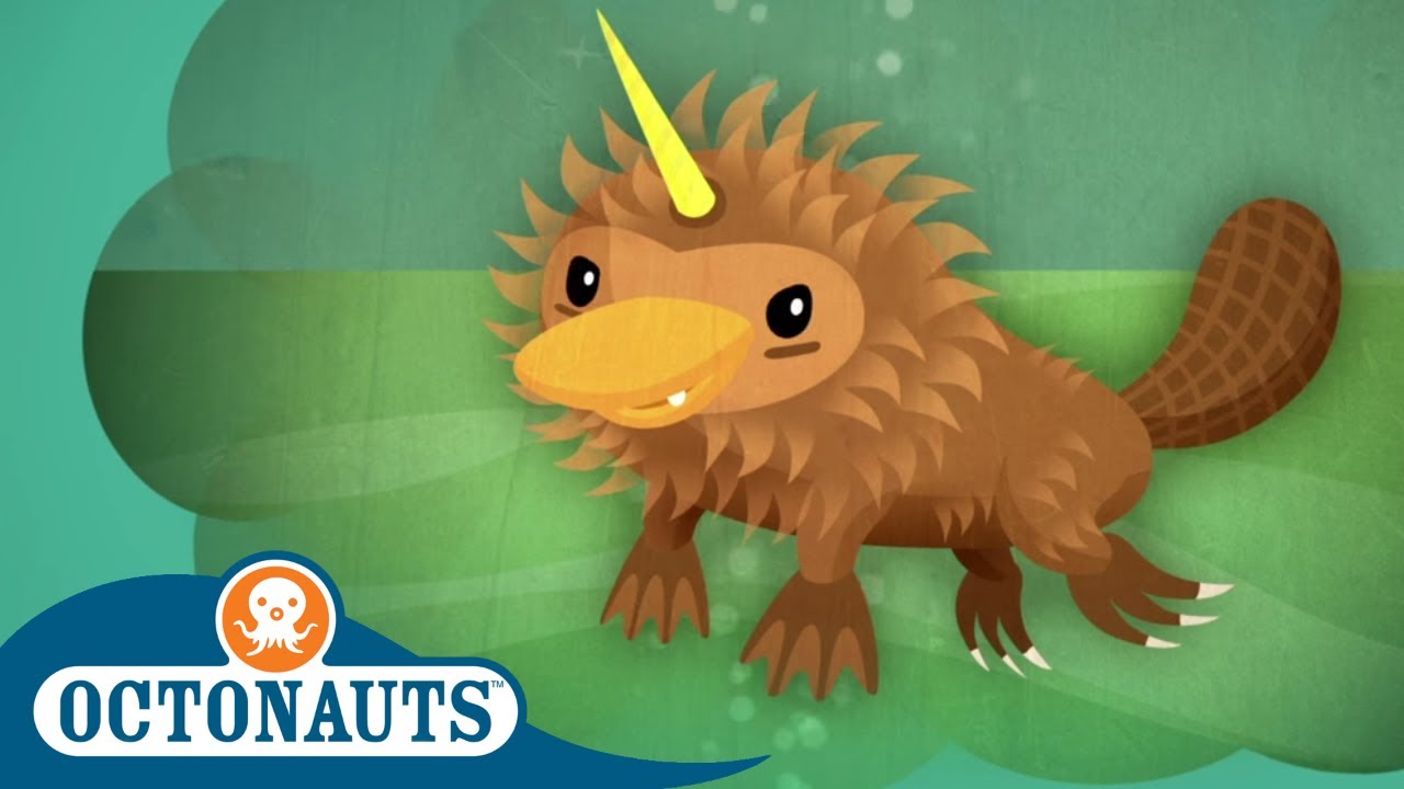 Octonauts - Duck Face River Monster | Cartoons for Kids | Underwater ...