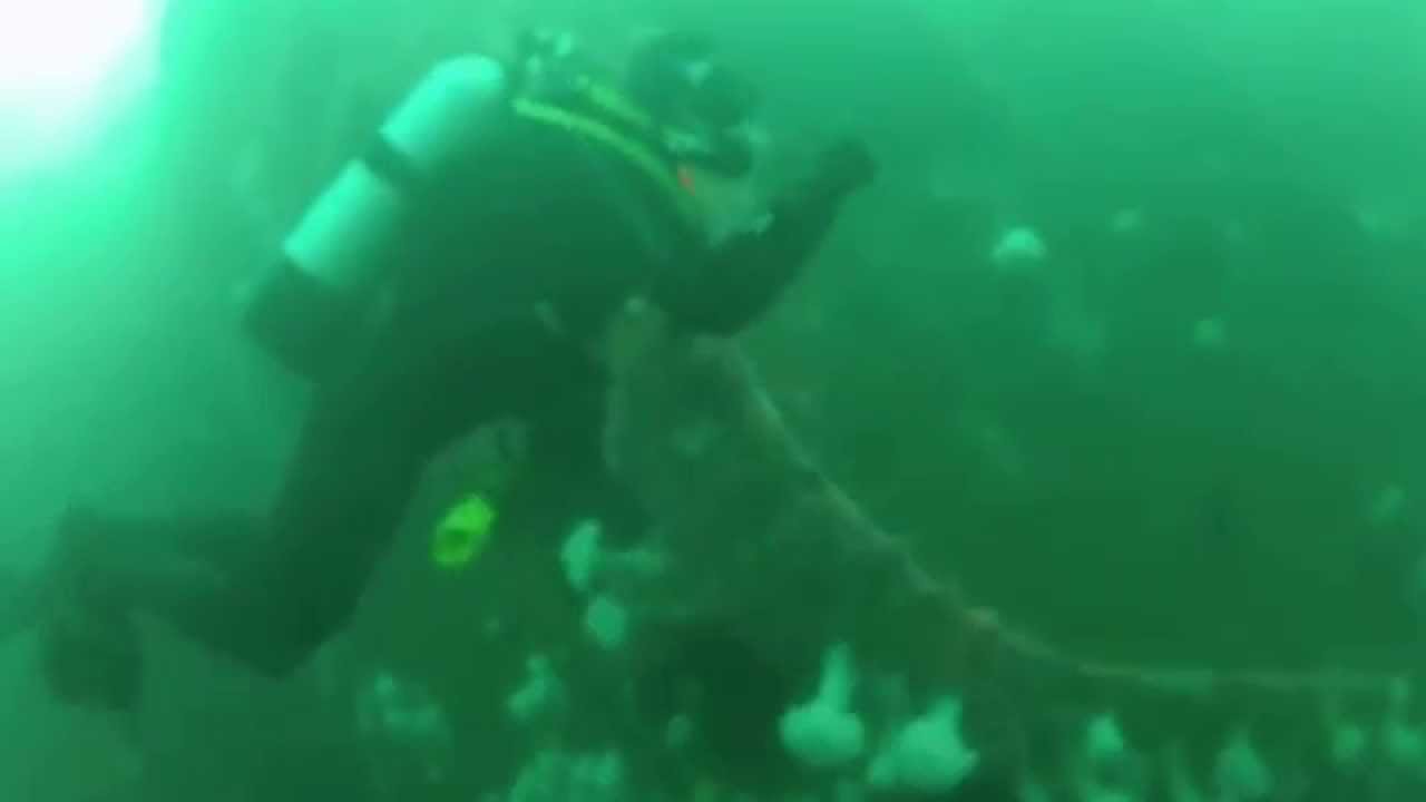 HMS Yukon Wreck Dive, San Diego, CA - YouTube