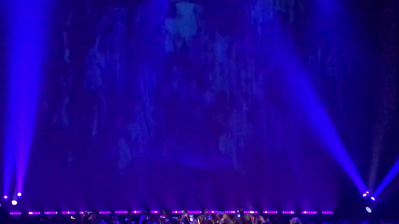 Tyler the Creator Flower Boy Tour Opening. Miami 2018 James L Knight ...