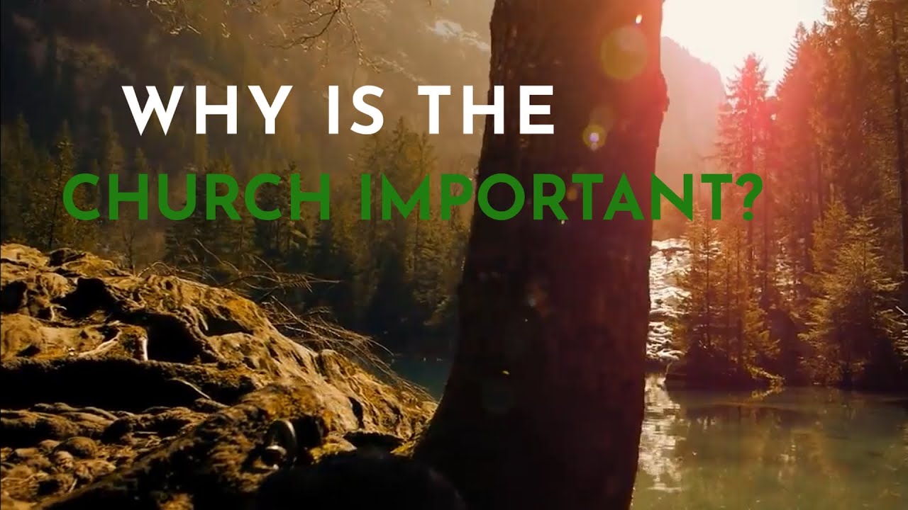 All Church Focus 2022: Planted Poem Week #10 - "Why Is The Church ...