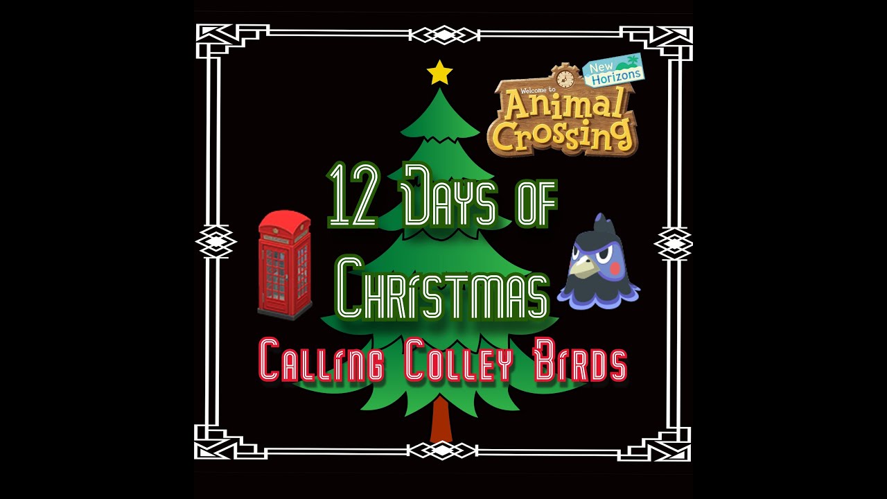 12 Days of Christmas - 04 Calling Colley Birds - YouTube