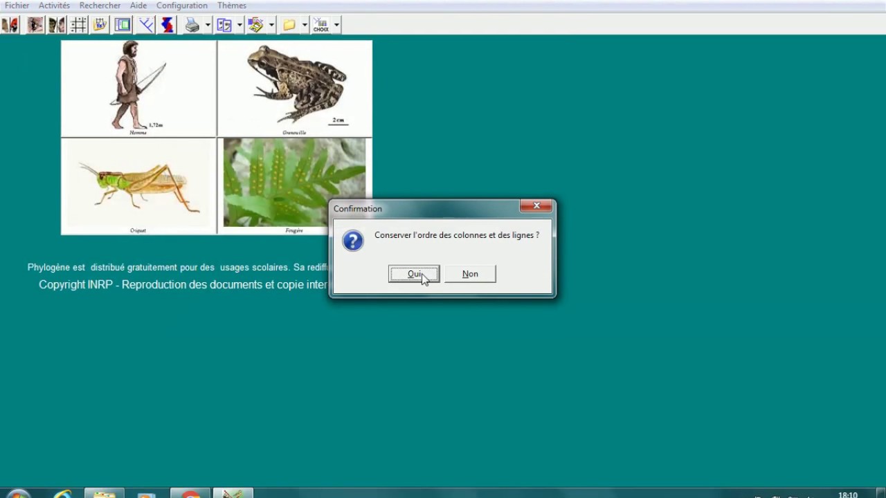 Classification avec Phylogène - YouTube