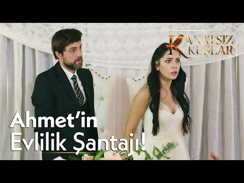 Ahmet ve Zeynep evleniyor mu? | Kanatsız Kuşlar Kolaj