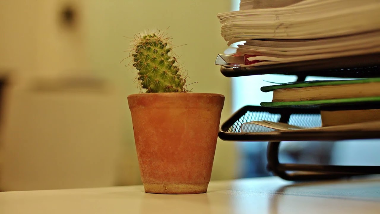 EOS M2 Magic Lantern RAW Test - Upscaled to 4k