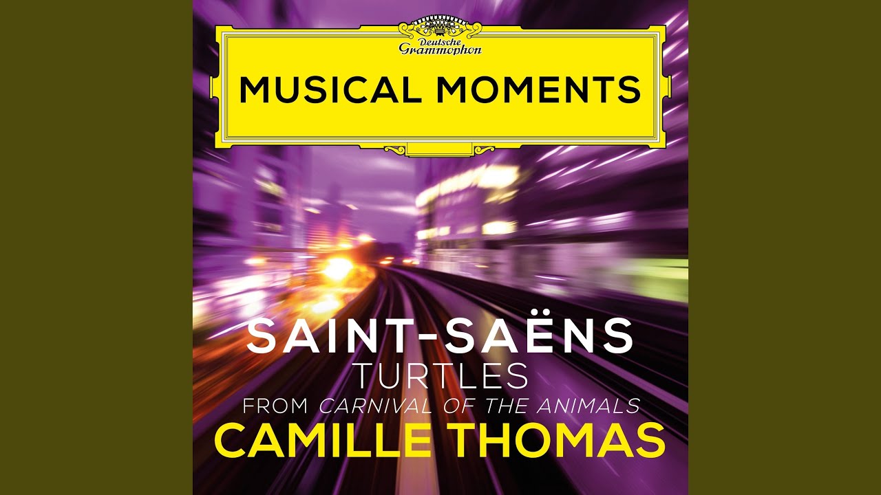 Saint-Saëns: Carnival of the Animals, R. 125: 4. Turtles - YouTube
