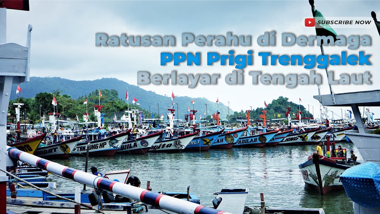 KEREN ‼️ RATUSAN PERAHU NELAYAN DI DERMAGA PPN PRIGI TRENGGALEK ...