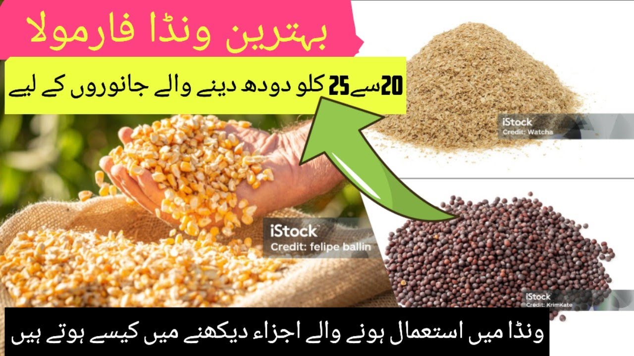 Wanda formulation milking animal // best Wanda items and quality ...