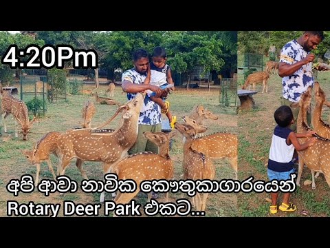 ත්‍රීකුණාමලය සංචාරයේ. 04.Rotary Deer Park 🏞 🦌 - YouTube