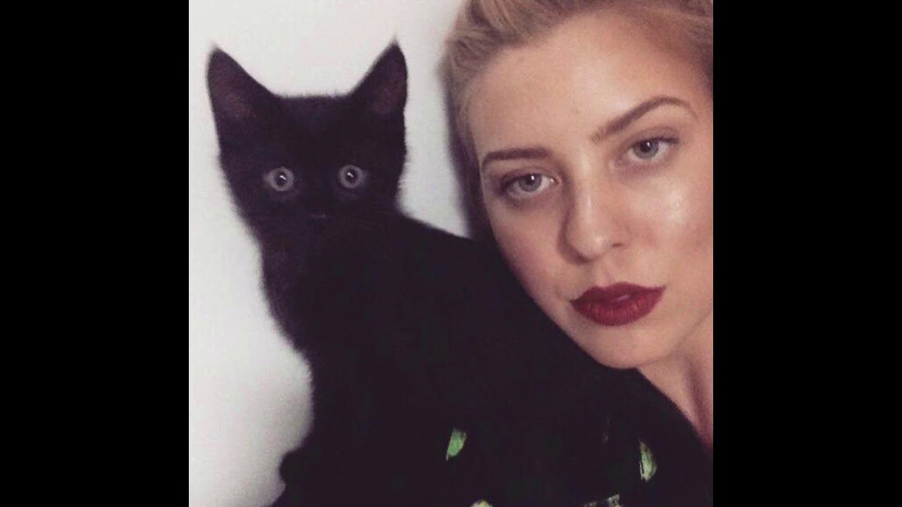 Sydney the cat - YouTube