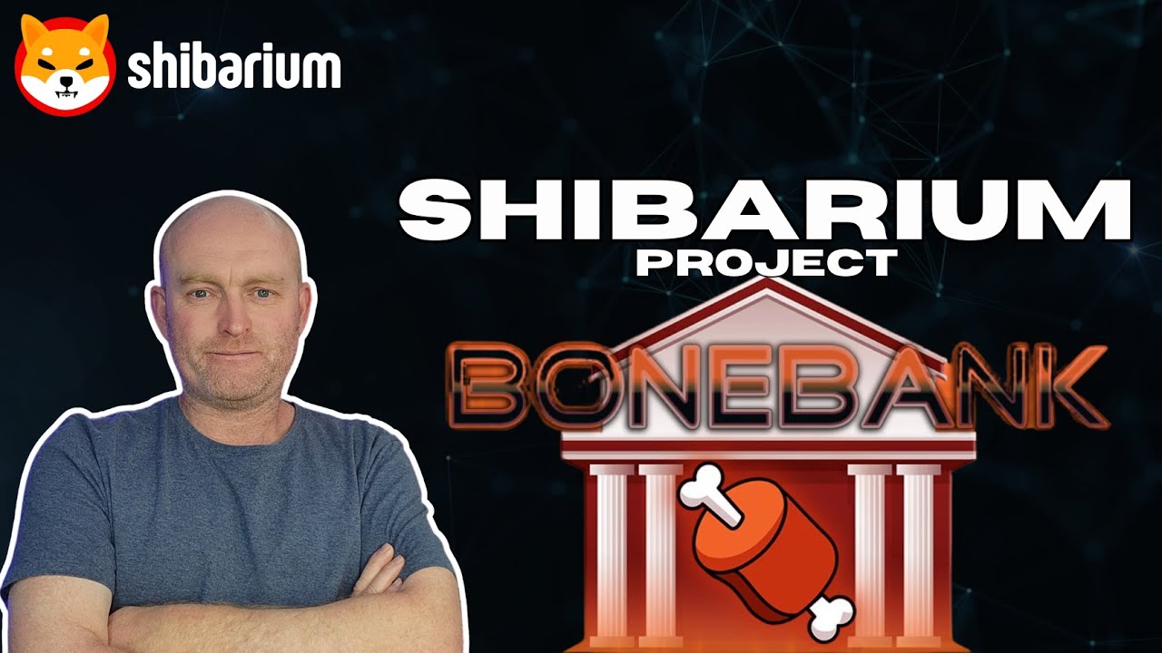 Shibarium Project On Marswap DEX - Bone Bank - YouTube