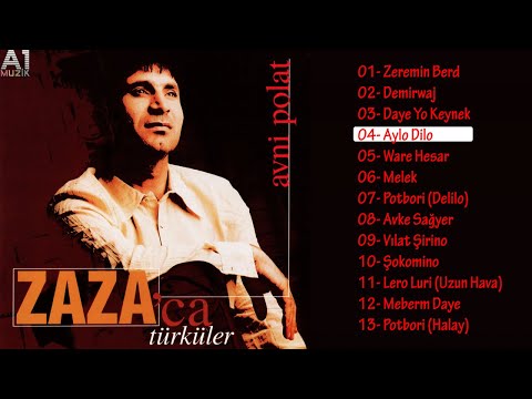 Avni Polat - Aylo Dilo