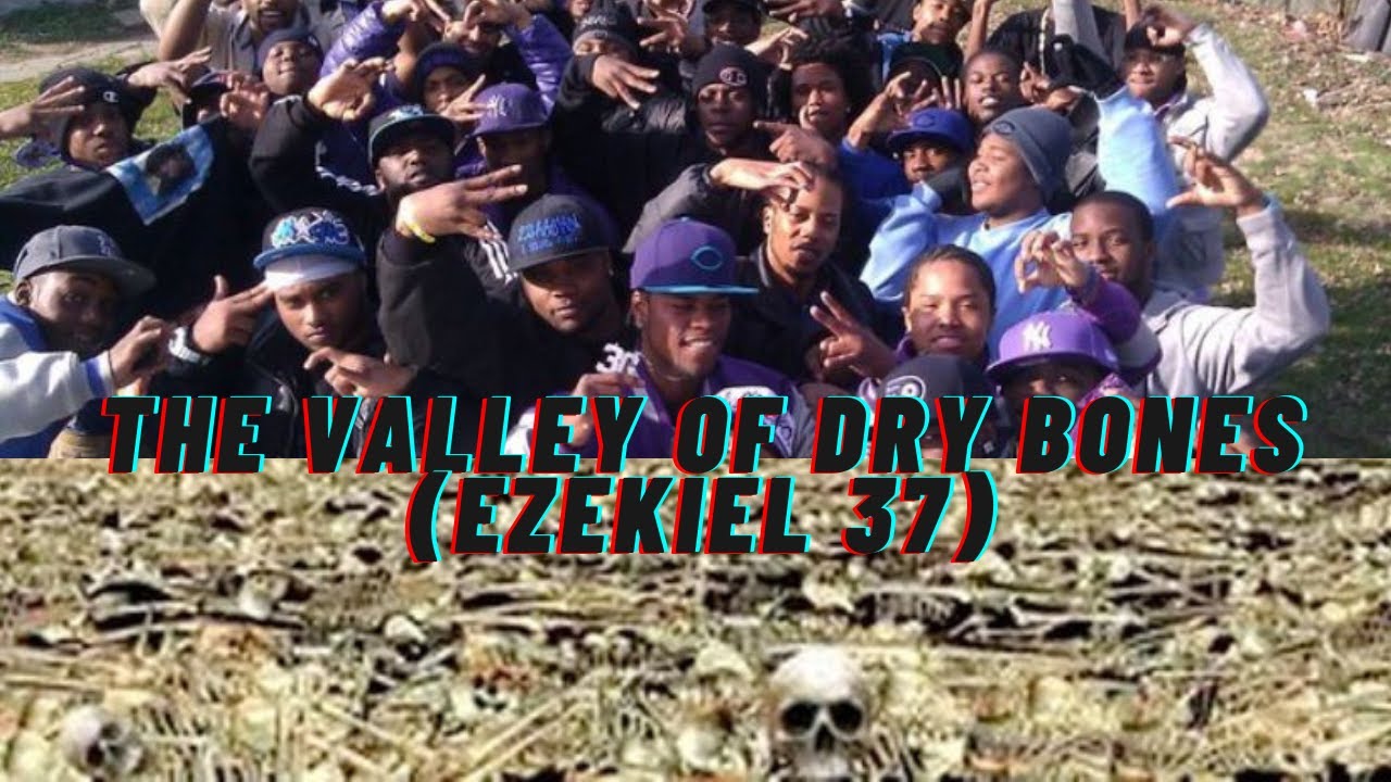 The Valley of Dry Bones!! (Ezekiel 37 Breakdown) - YouTube