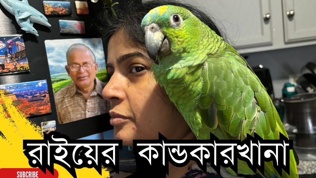 RAI SONA the amazing Amazon parrot - you will love it - YouTube