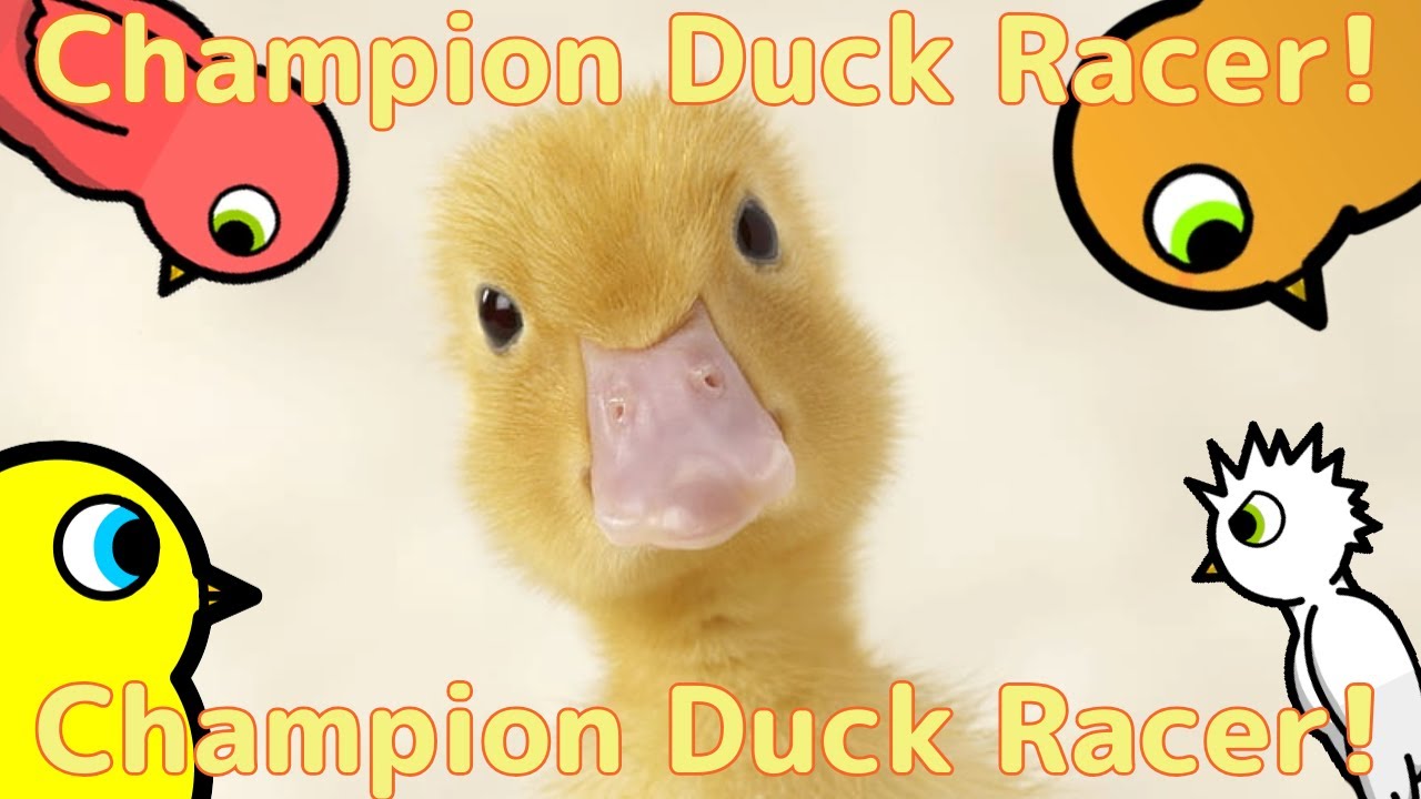 [Duck Life Retro: Pack] Champion Duck Racer! - YouTube