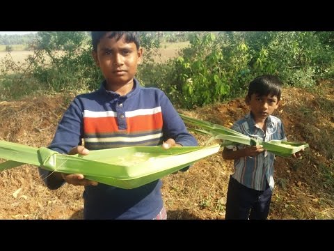Drinking Fresh Toddy Palm Juice in My Village - Helathy Natural Juice ...