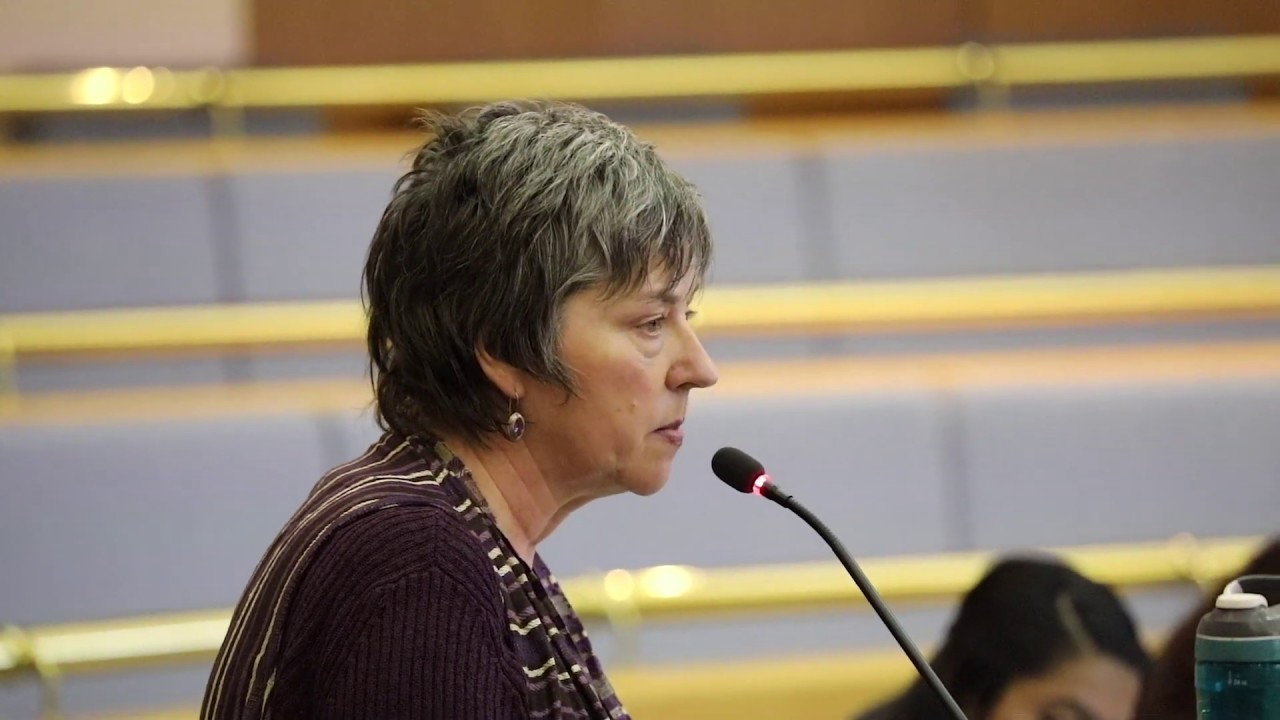 Susan Walmer, Resident, Speaking About the Proposed Provincial Bill 66 ...
