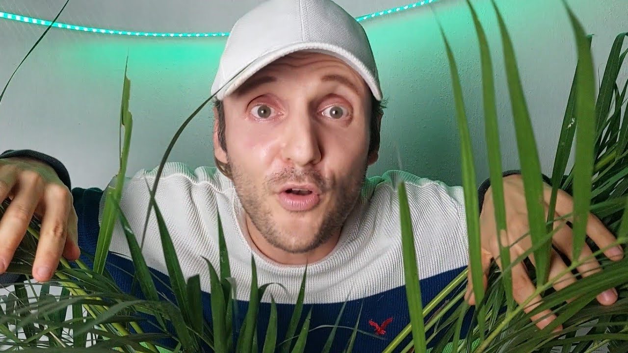 The WORST and FUNNIEST Translation Ever - YouTube