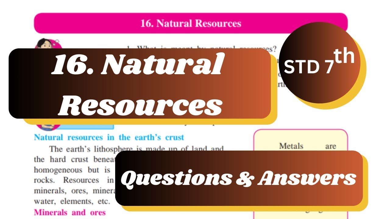 7th Std - Science - Chapter 16 Natural resources questions answers ...