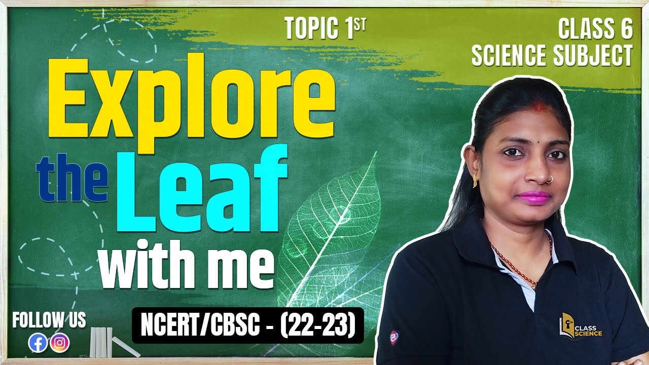 Class 6 Science | Topic 1 | Chapter Leaf | CBSE | NCERT | ICSE - YouTube