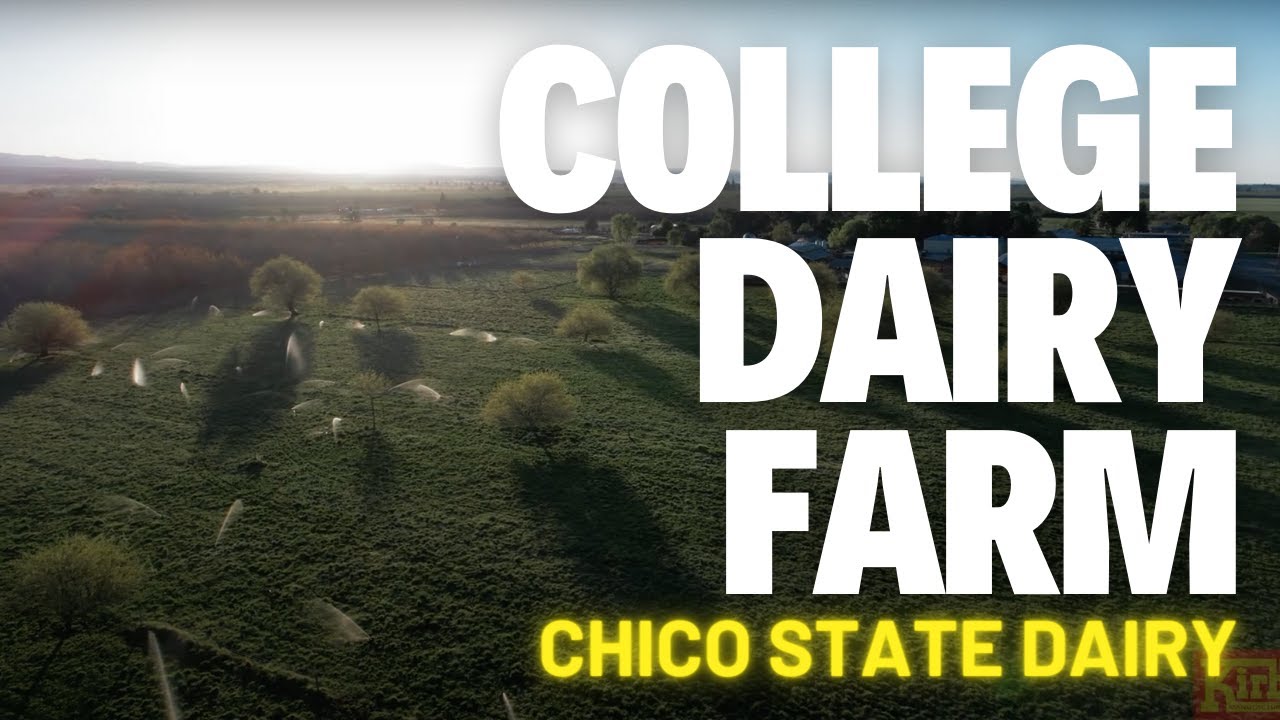 COLLEGE DAIRY FARM in Northern California - YouTube