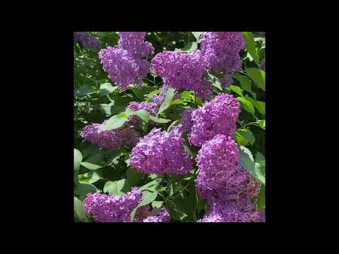 My World/Channel Intro - YouTube