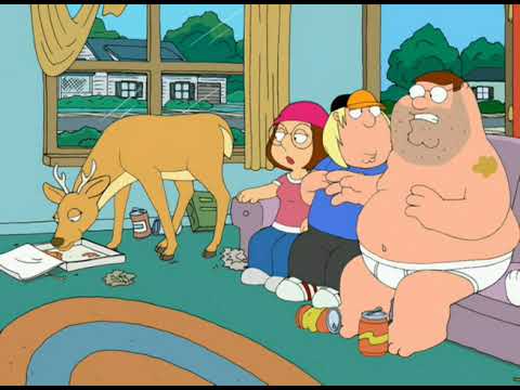 Uma Familia da Pesada - Vida sem Lois