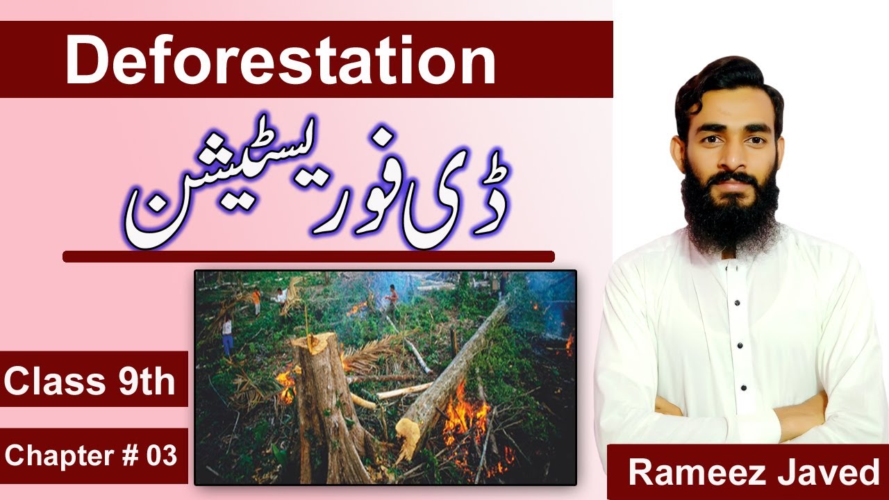 what is deforestation | deforestation and over hunting 9th class ...