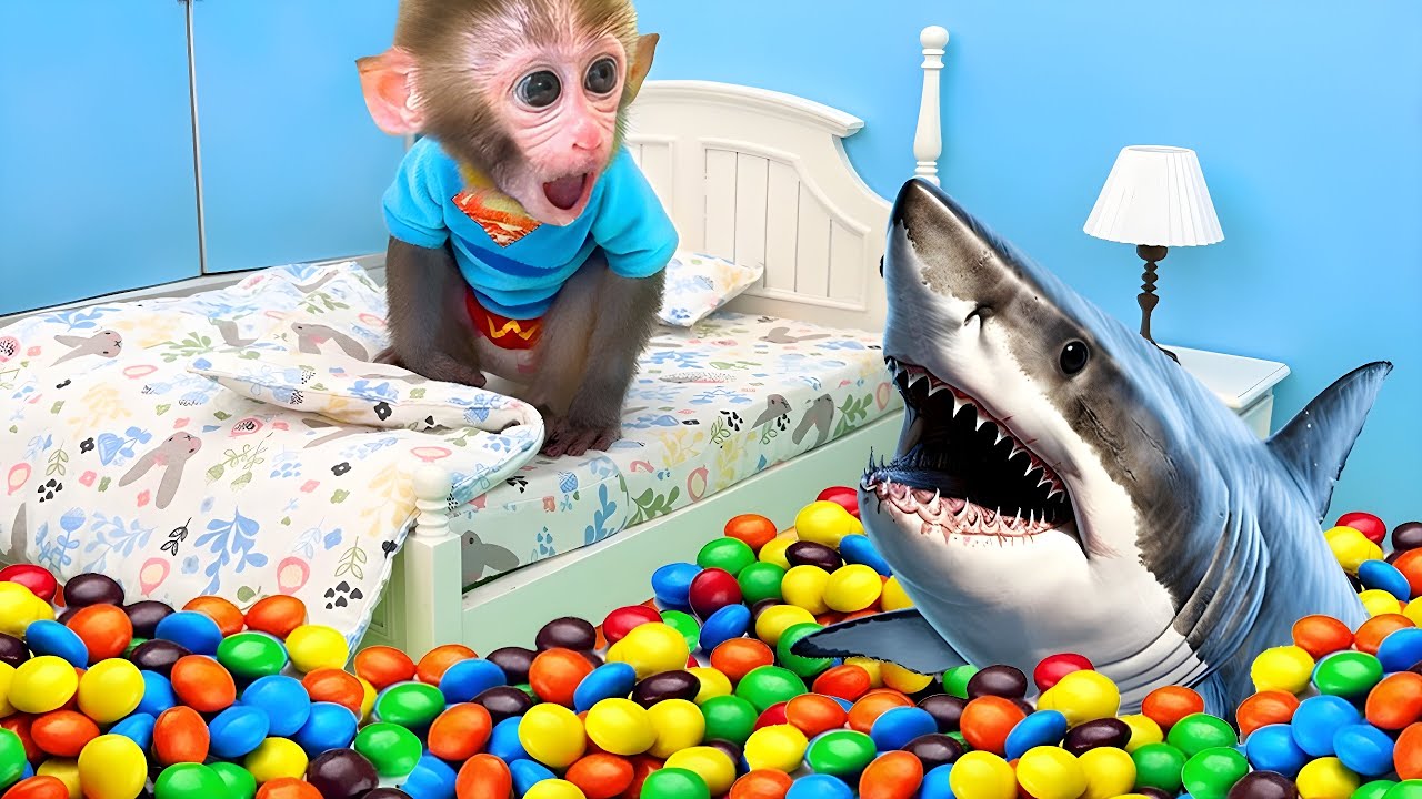 Monkey Baby Bon Bon Making Colorful Popcorn and Swims with Ducklings in ...