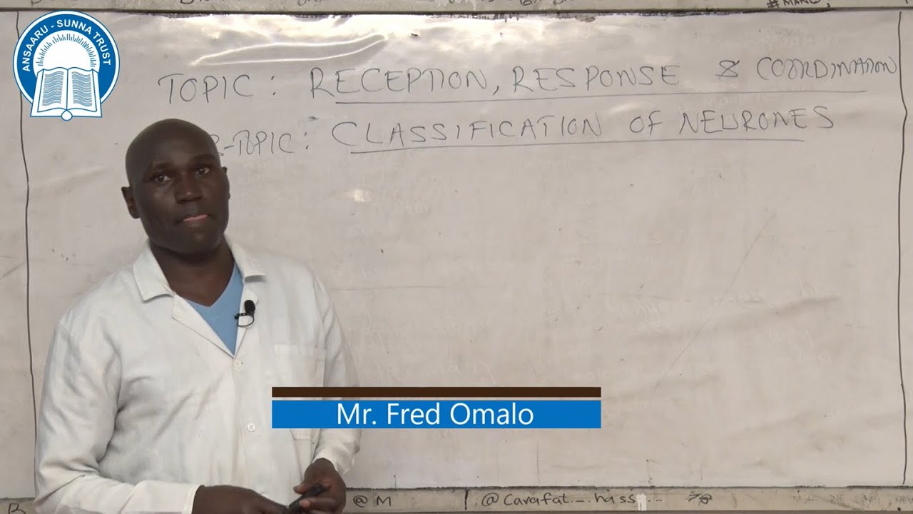 Form 4 - Biology - Topic: Reception, Response & Coordination (Lesson_3 ...