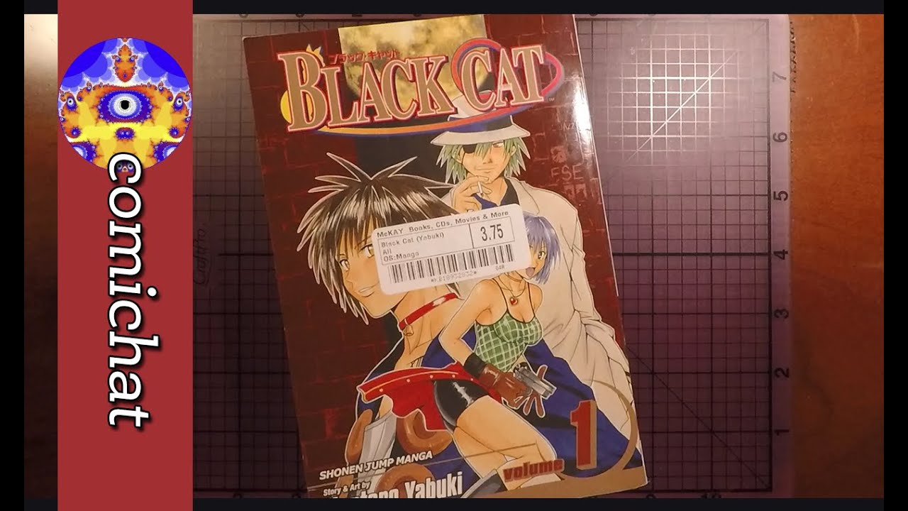 Good way to expand the setting - Black Cat Chapter 2 (Volume 1 ...