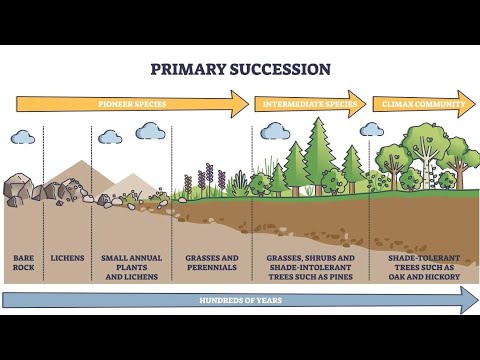 what ecological  succession@swatscience.com.ca