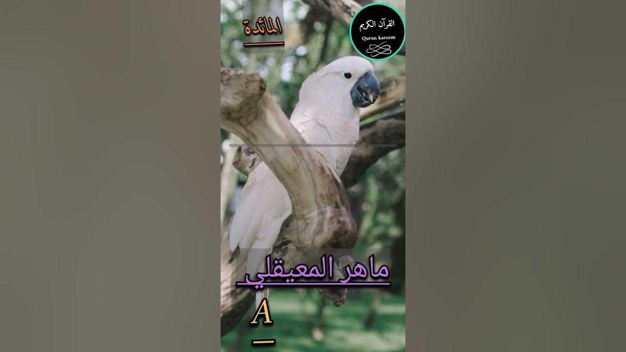 مِنْ أَجْلِ ذَٰلِكَ كَتَبْنَا عَلَىٰ بَنِي إِسْرَائِيلَ أَنَّهُ مَن