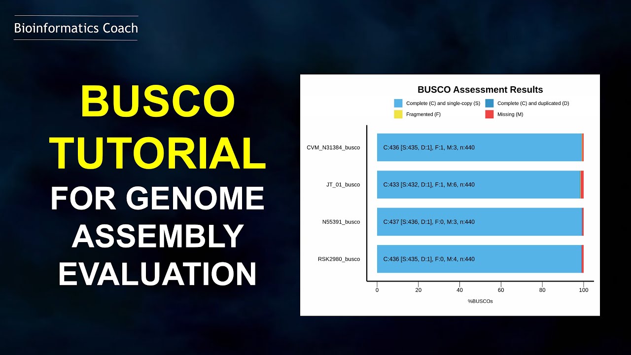 BUSCO Linux Install and Usage - Genome Assembly Evaluation | BUSCO ...
