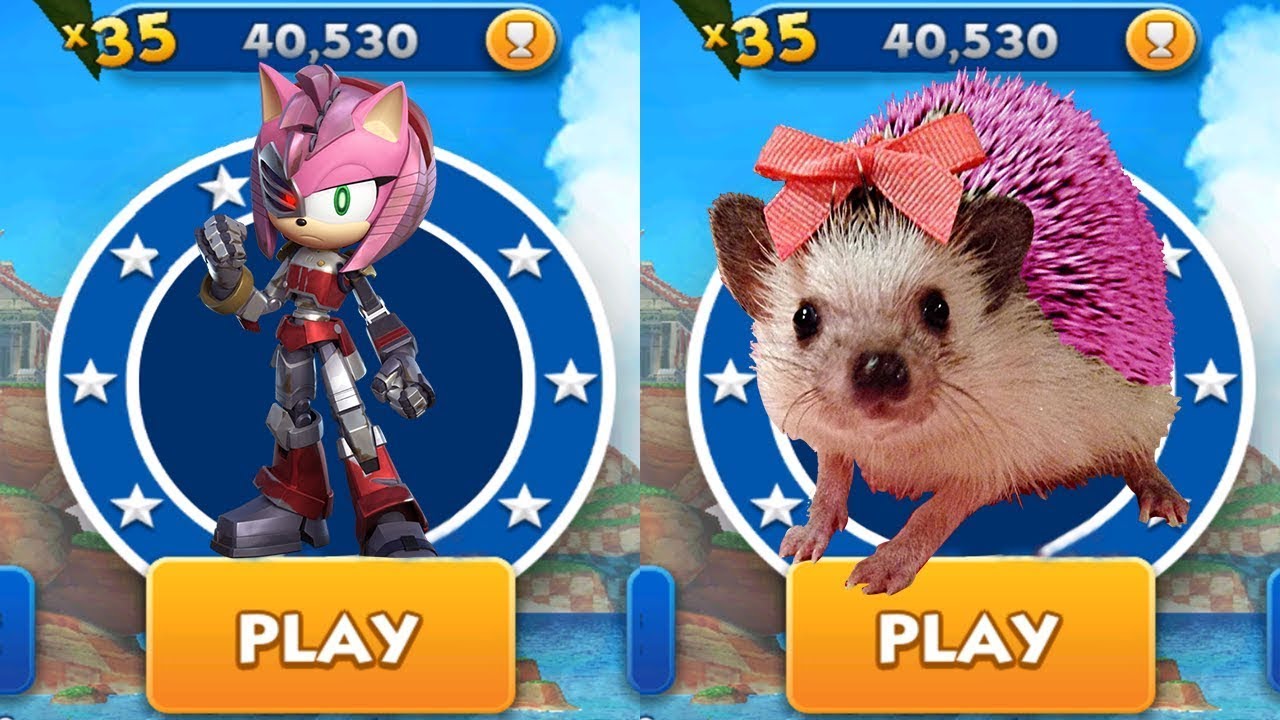 Sonic Dash vs Real Life Hedgehog - Sonic Prime Rusty Rose vs All Bosses ...