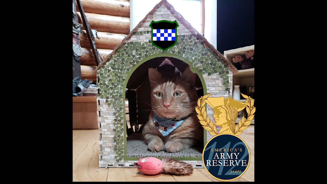 99th RD CoS C.A.T. update brief (Ep. 2) - YouTube