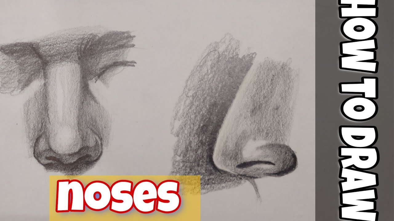 HOW TO DRAW NOSES STEP BY STEP TUTORIAL FOR BEGINNERS | CHIRAG ARTS ...