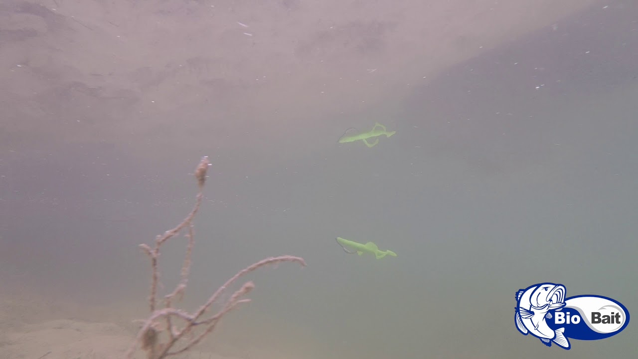 Bio Bait swimming - YouTube