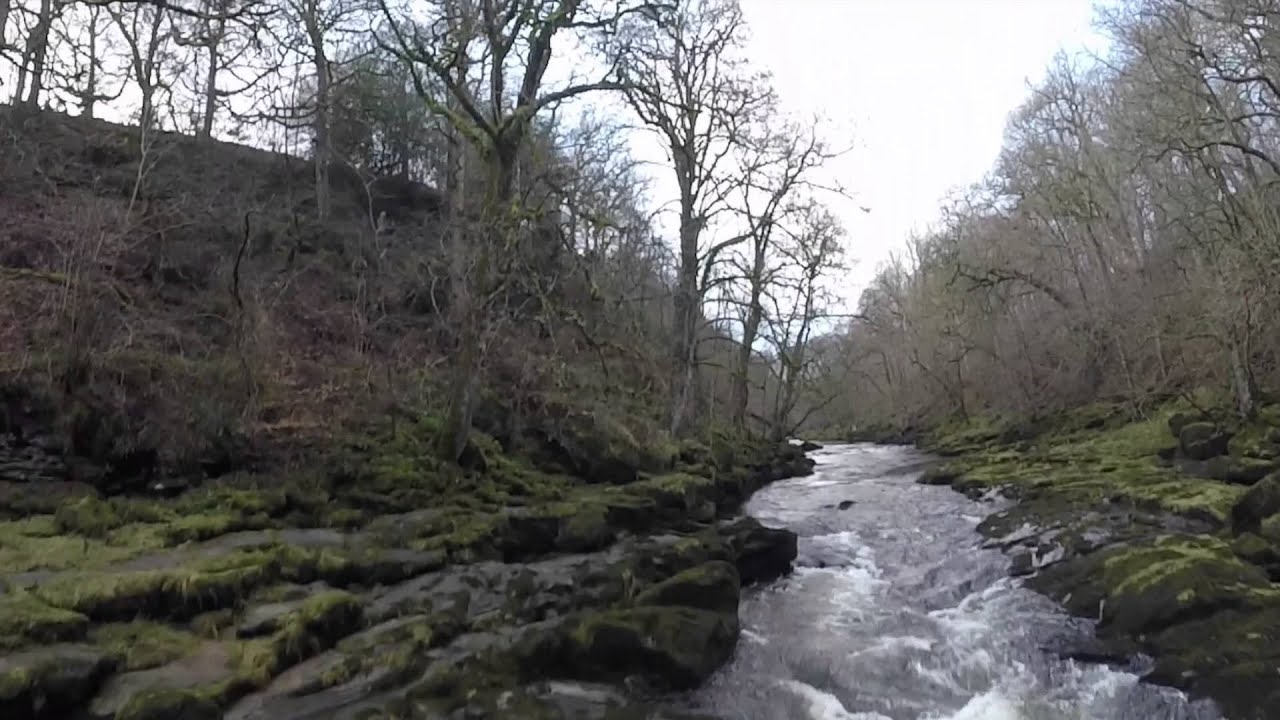 Bolton Abbey The Strid, the most dangerous stretch of river in the ...