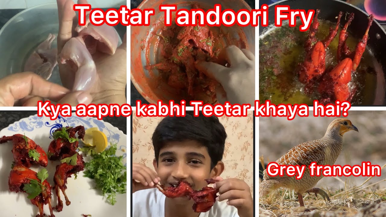 Grey Francolin Fry | Teetar bolte mujhe | #support #like #share # ...