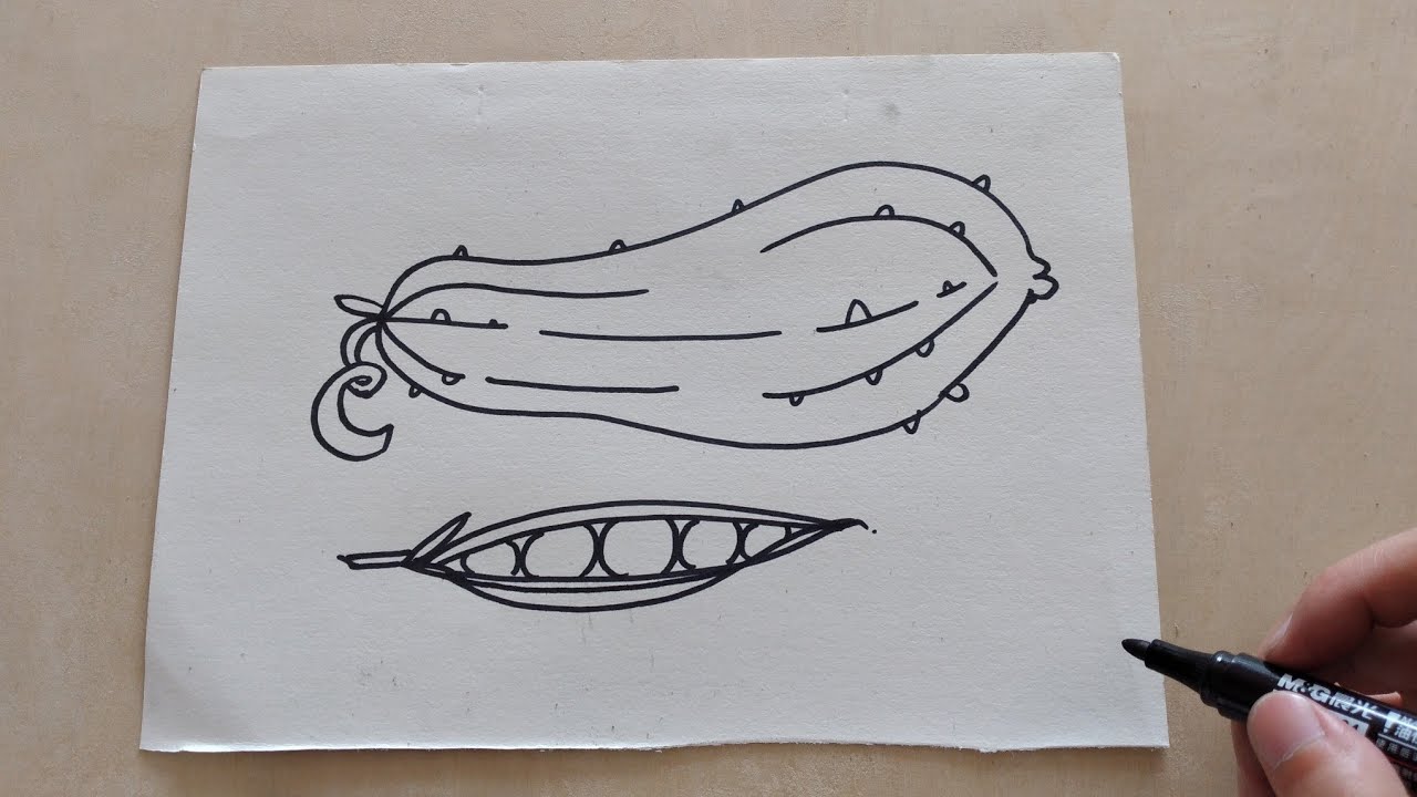 como dibujar frijoles/how to draw beans - YouTube