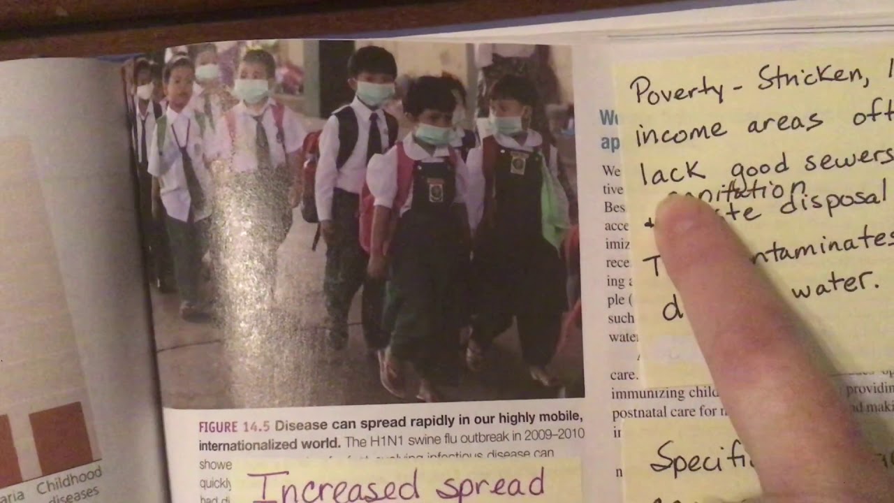 Ch 14 Sticky Notes CED 1 of 2 - YouTube